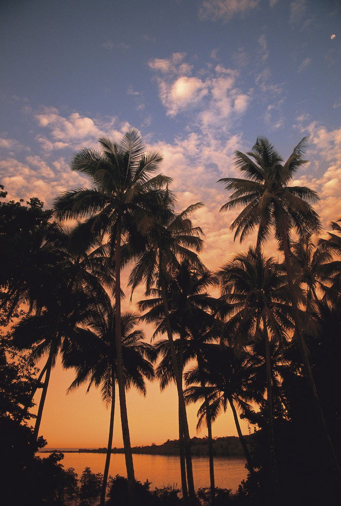 Cairns Sunset Harbour Cruise $59 | Cairns Cruise at Sunset