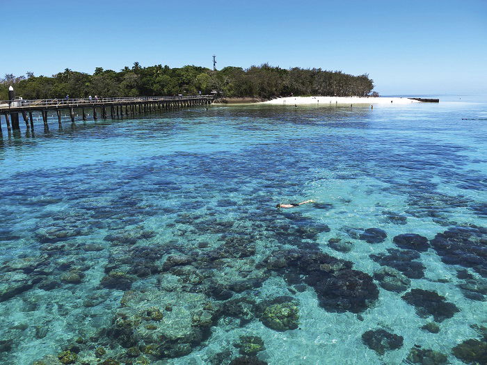 1 Day Green Island Tour $105