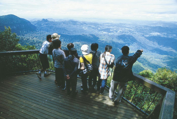 1 Day Natural Arch, Numinbah Valley & Springbrook Tour $99