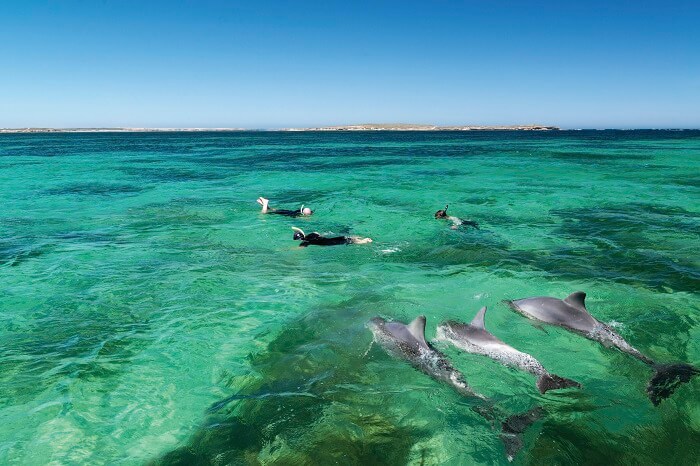 15 Days Perth to Sydney Tour