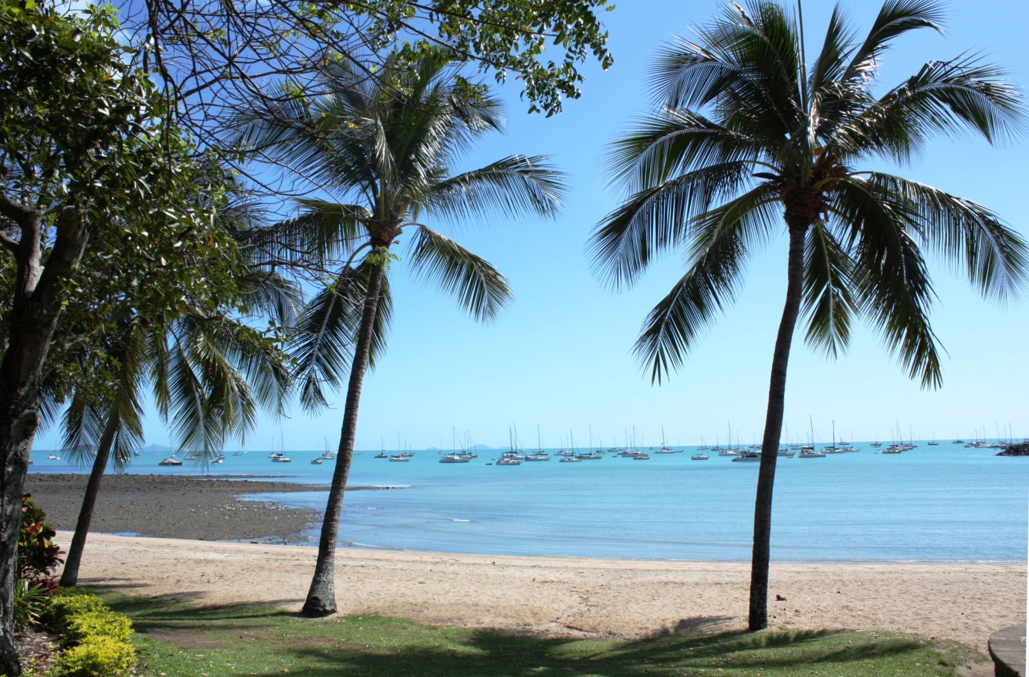A beginner’s guide to Airlie Beach Music festival