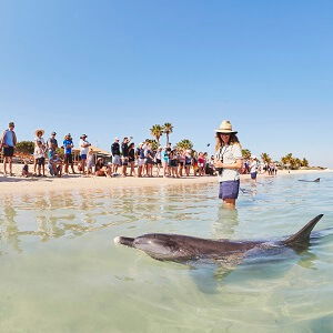 Perth Tours from $88 | Best Perth Tours & Day Trips in 2023