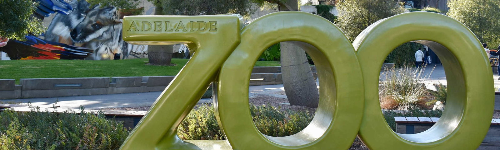 Why You Should Visit the Adelaide Zoo