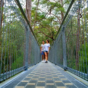 Australian Tours I Sightseeing Tours Across Australia