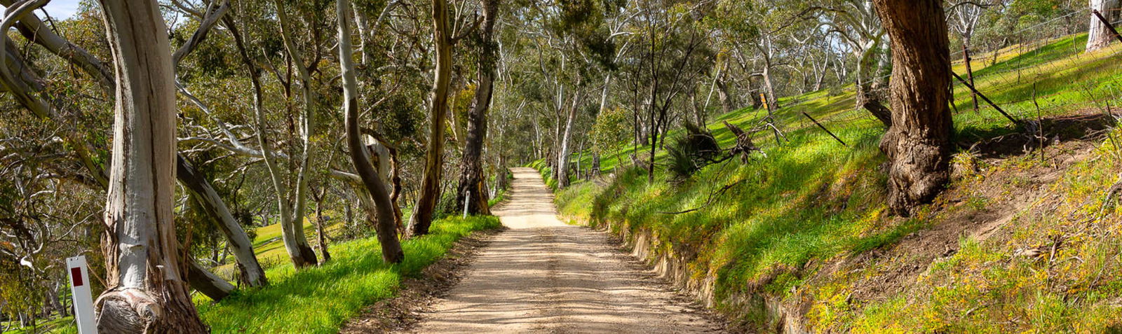 Is the Barossa Valley worth visiting?