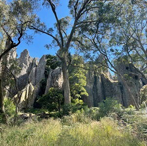 What are the natural features of Victoria?