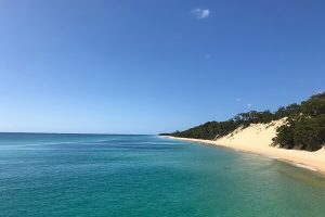 What is the best time to go to Moreton Island?