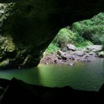 1 Day Natural Arch and Springbrook Tour $119