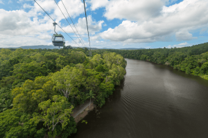 What can I see from the Kuranda Skyrail?